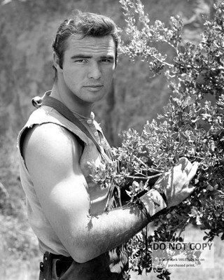 BURT REYNOLDS AS "QUINT ASPER" IN "GUNSMOKE" - 8X10 PUBLICITY PHOTO (BT ...