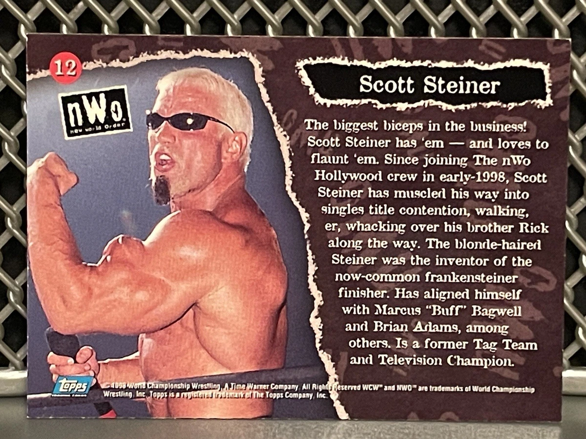 Scott Steiner Nwo