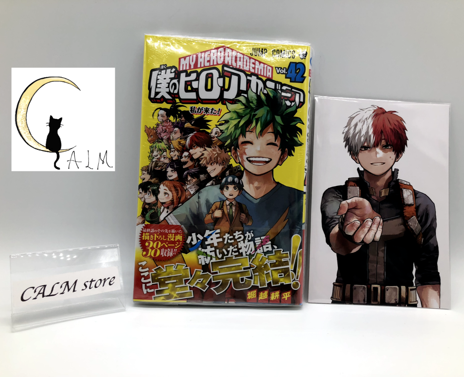 My Hero Academia Vol 42 Japanese Manga 1st w/ Todoroki illustration ...