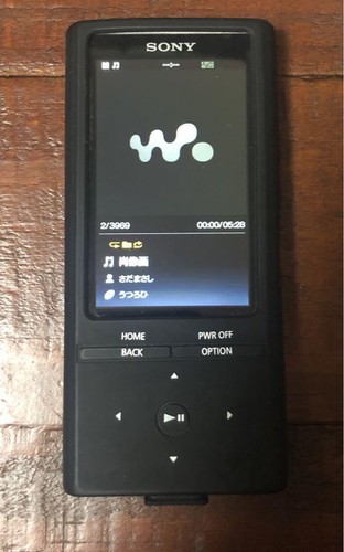 SONY NW-ZX100 WALKMAN Digital Audio Player 128G Used | eBay