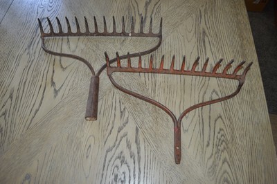 Garden - Rake Heads - Vatican