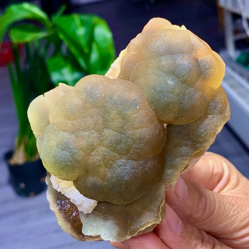 415G Natural transparent bubble shaped yellow flour cluster spiritual ...