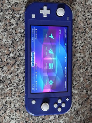 Unpatched Nintendo Switch Lite | eBay UK