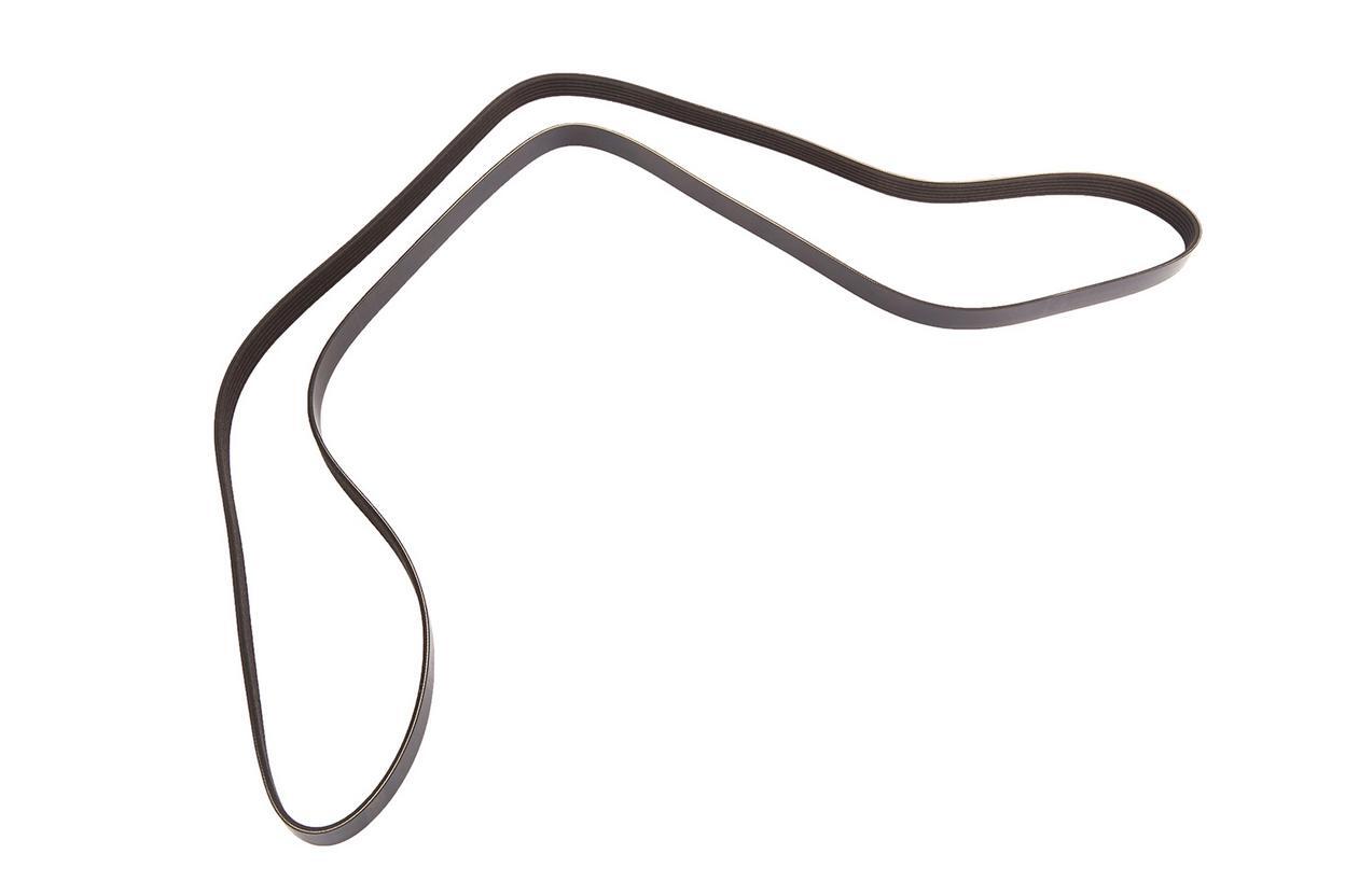 GM Genuine Parts 12611636 Serpentine Belt | eBay