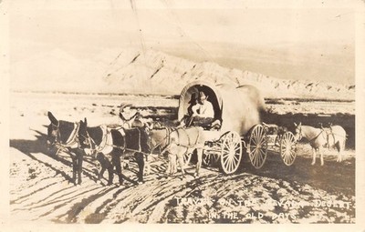 Postcard NV Prospectors Wagon & Mule Team Travel in the Desert Nevada ...