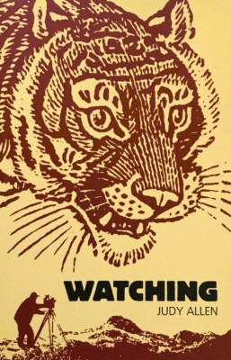 Watching By Judy Allen. New | eBay Australia