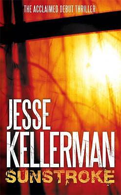 Sunstroke By Jesse Kellerman 2006 Paperback Book Mystery Thriller Fiction 9780316731959 | eBay