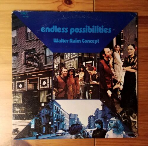 Walter Raim Concept - Endless Possibilities Vinyl LP Album MTS 5020 | eBay