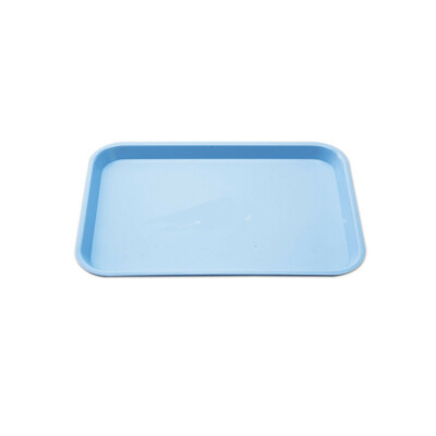 Dental Blue Color Flat Plastic Instrument Tray Size B Autoclave 13.25 ...