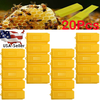 20X/Set Professional Queen Bee Butler Cage Catcher Trap Case Beekeeping ...