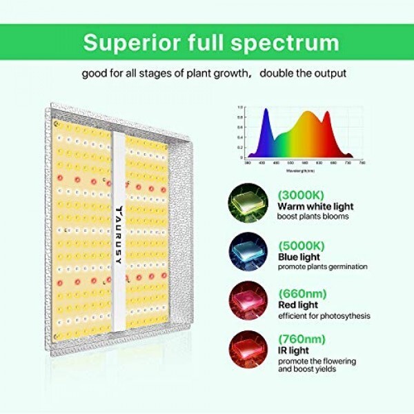 Full Spectrum Quantum Board LED Grow Light 2x2ft Coverage Green House ...