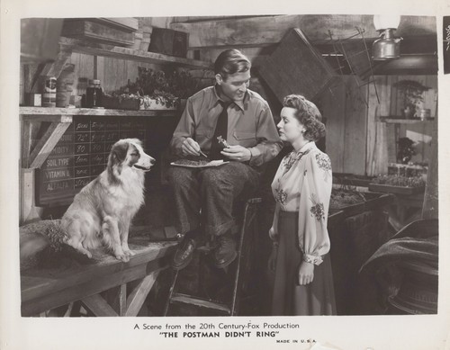 Movie 1942 The Postman Didn't Ring Brenda Joyce Scene - Original Press ...