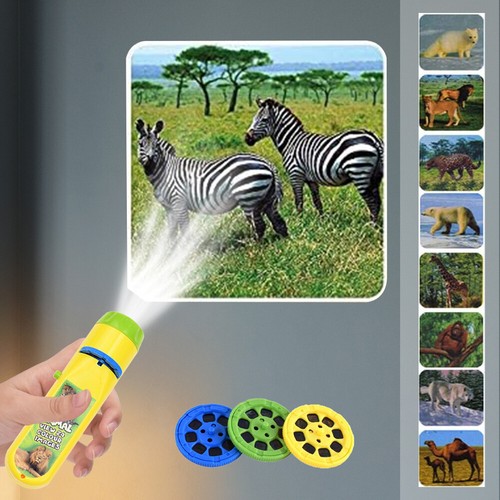 Projector Flashlight Slide Lamp with 24 Pictures Science Educational ...