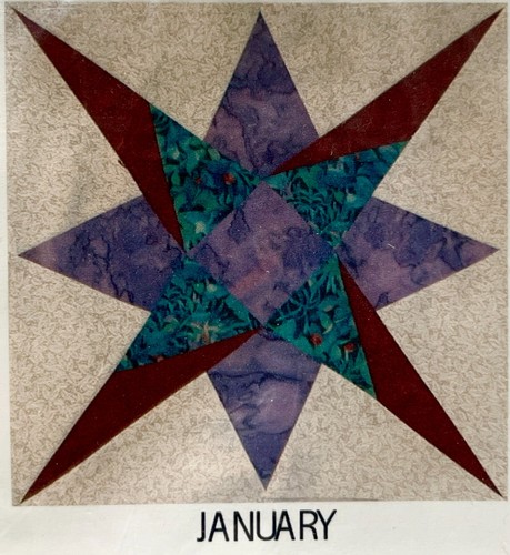 NEW 1990s Karen Campbell Millennium Stars January Quilt Block Sewing ...