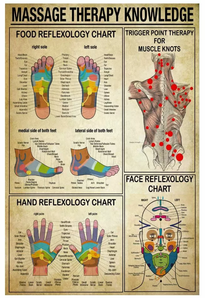 Reflexology Knowledge Poster Vertebral Column Foot And Hand, 49% OFF Reflexology Knowledge Poster Vertebral Column Foot And Hand, 49% OFF