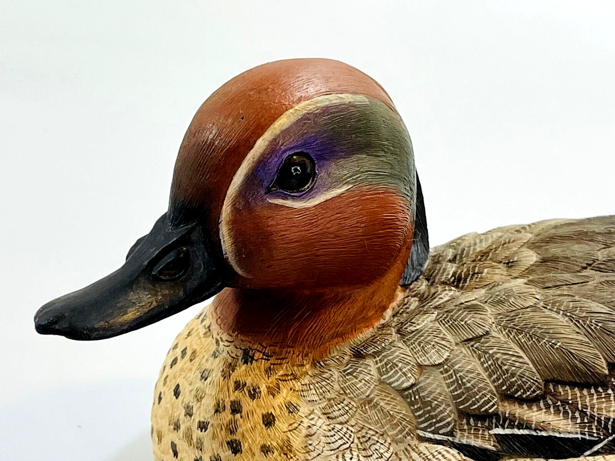 Getting Up Green Winged Teal