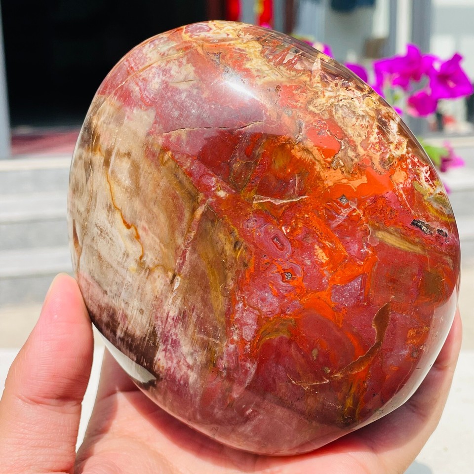2.55LB Natural Red Petrified Wood Fossil Crystal Landscape Stone ...