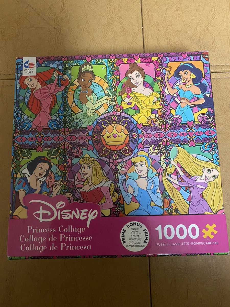 Disney Princess College