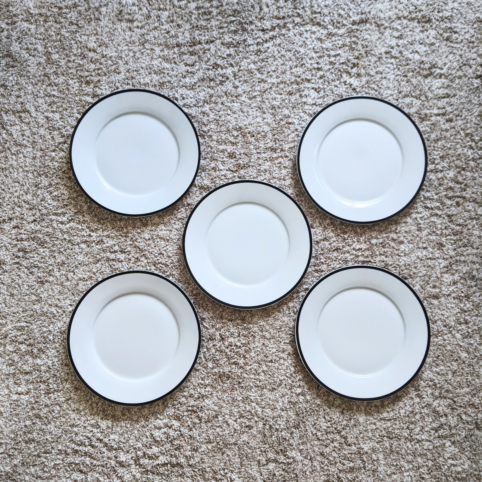 The Cellar Whiteware Dinner Plates (Set of 5) BRAND NEW WITH TAGS | eBay