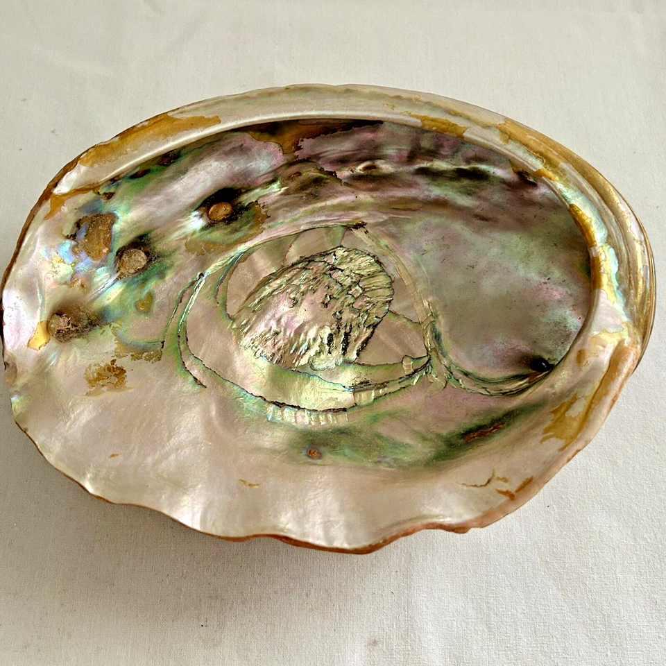 Natural Abalone Seashell Smudging Dish Bowl Footed Incense Burner | eBay