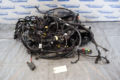 2020 AUDI RS3 QUATTRO 8V 2.5T DAZA OEM FULL CHASSIS WIRING HARNESS ...