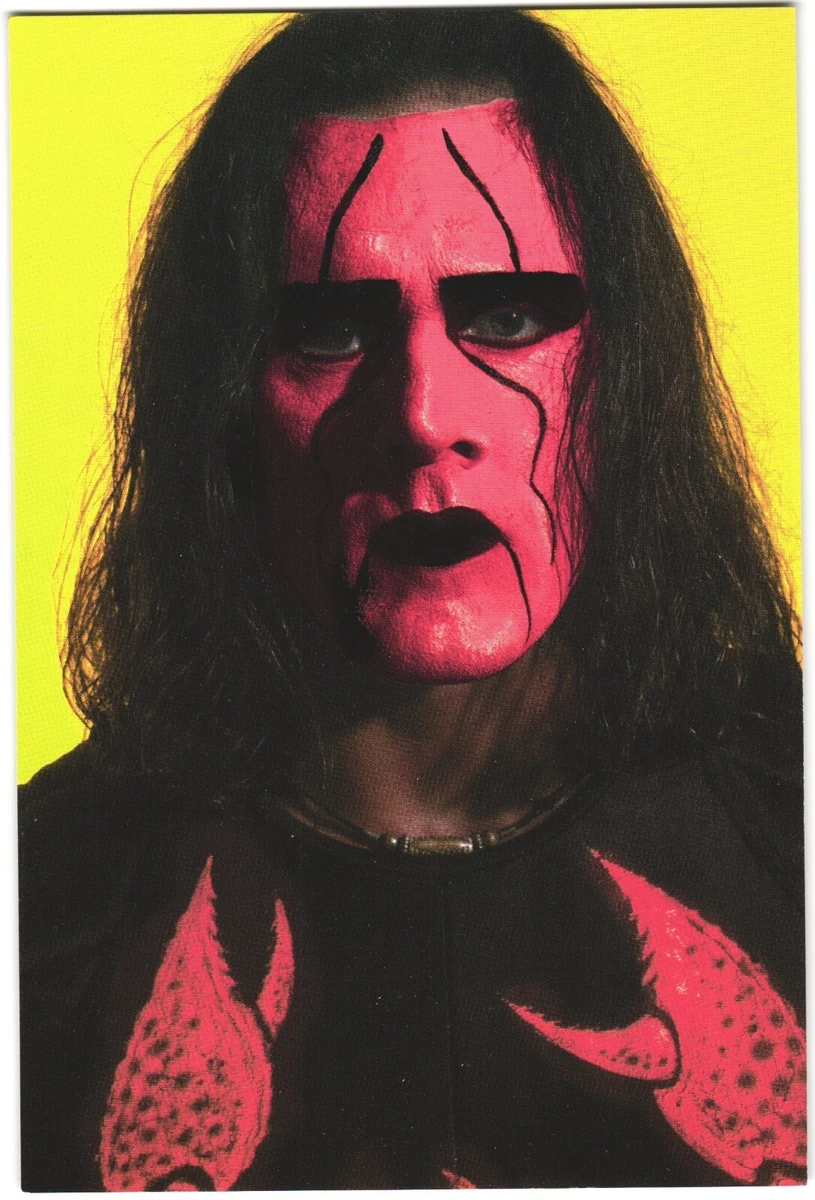 Sting Face Paint Wcw