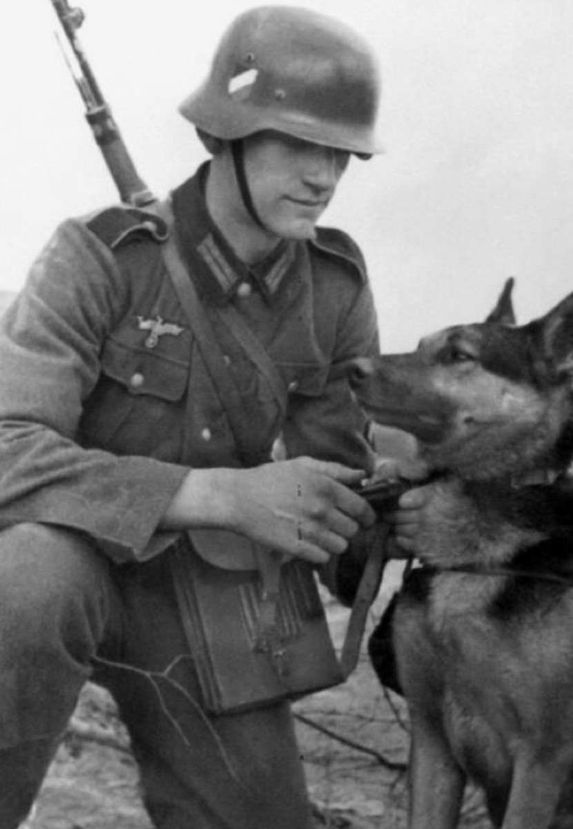 Ww2 Photo Wwii German Soldiers With Shepherd Dog World War