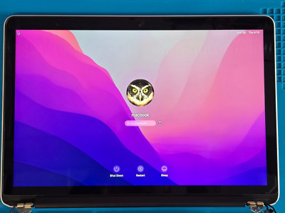 MacBook Pro Retina 13 A1502 2015 LCD Display Screen Assembly | eBay