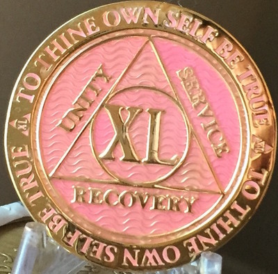 40 Year AA Medallion Pink Gold Plated Alcoholics Anonymous Sobriety ...