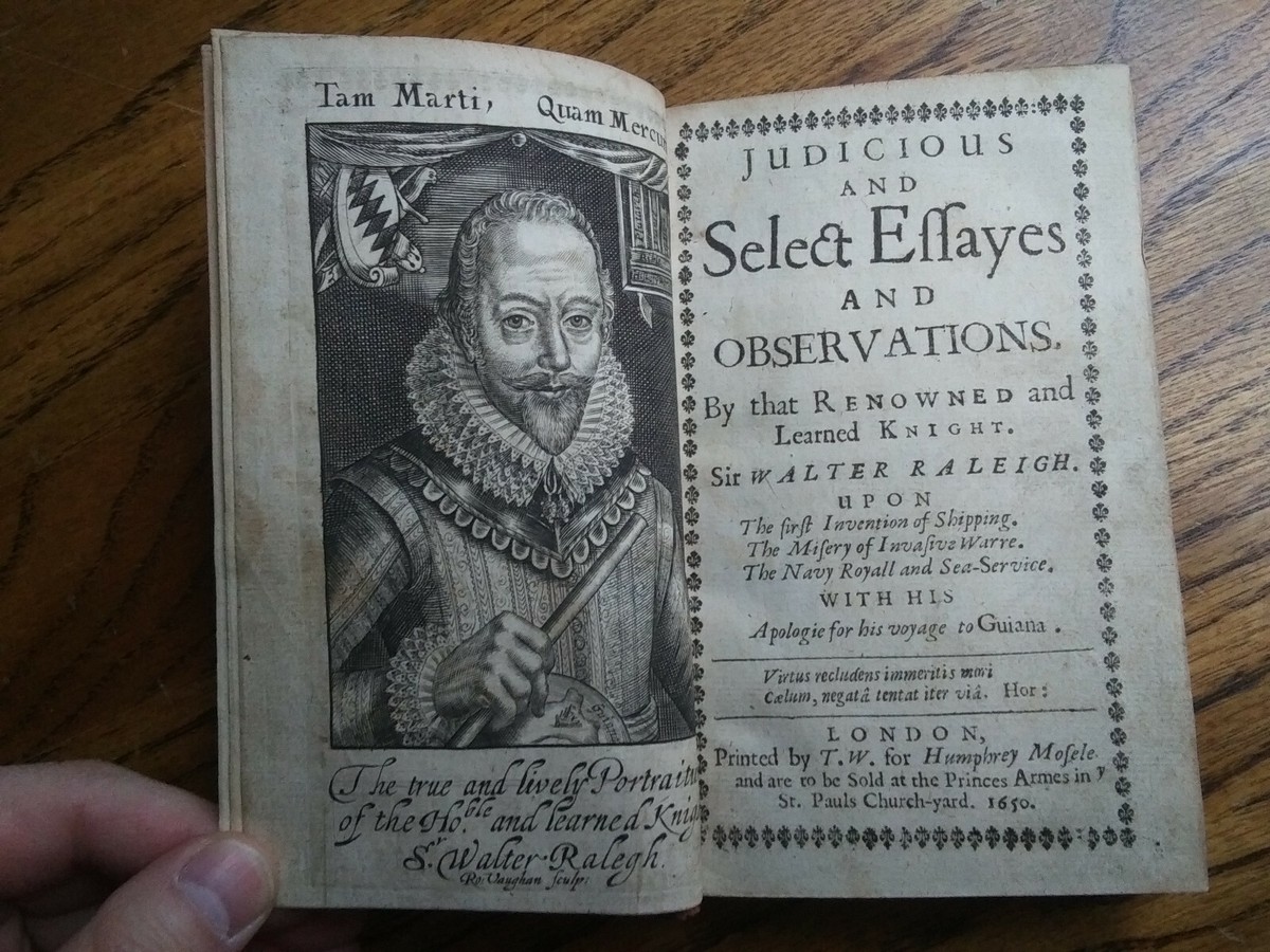 Judiciousness Judicious Bunnitzol Xeno Series Wiki