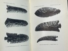 Hopewell Mound Group of Ohio, Moorehead. Copper Celt Ross Blade Effigy ...