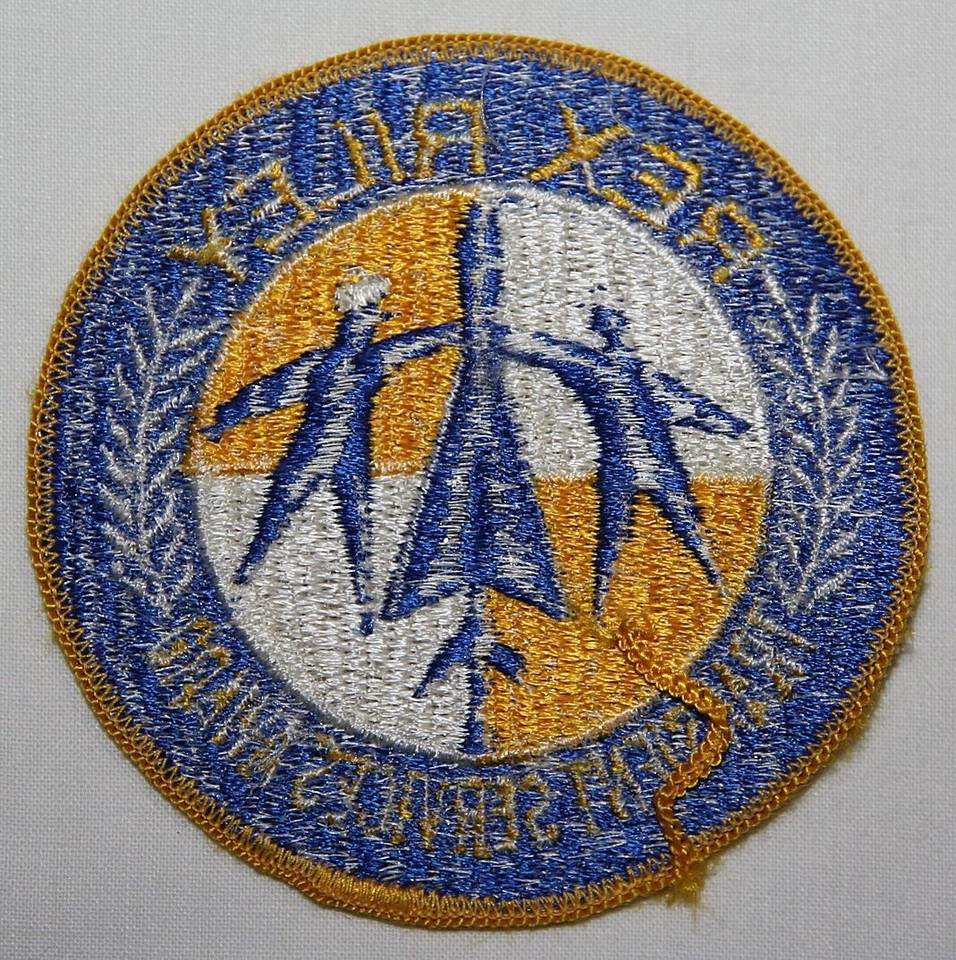 ORIGINAL U.S. AIR FORCE REX RILEY TRANSIENT SERVICES AWARD PATCH | eBay