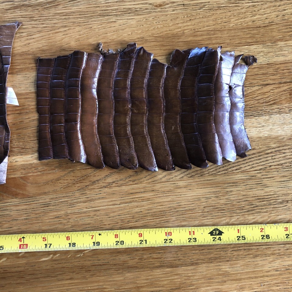 Genuine Crocodile Alligator Hide Leather Skin Brown Remnants | eBay