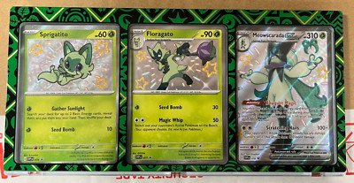 Pokemon Promo Shiny Meowscarada Floragato Sprigatito in Display SVP 076 ...