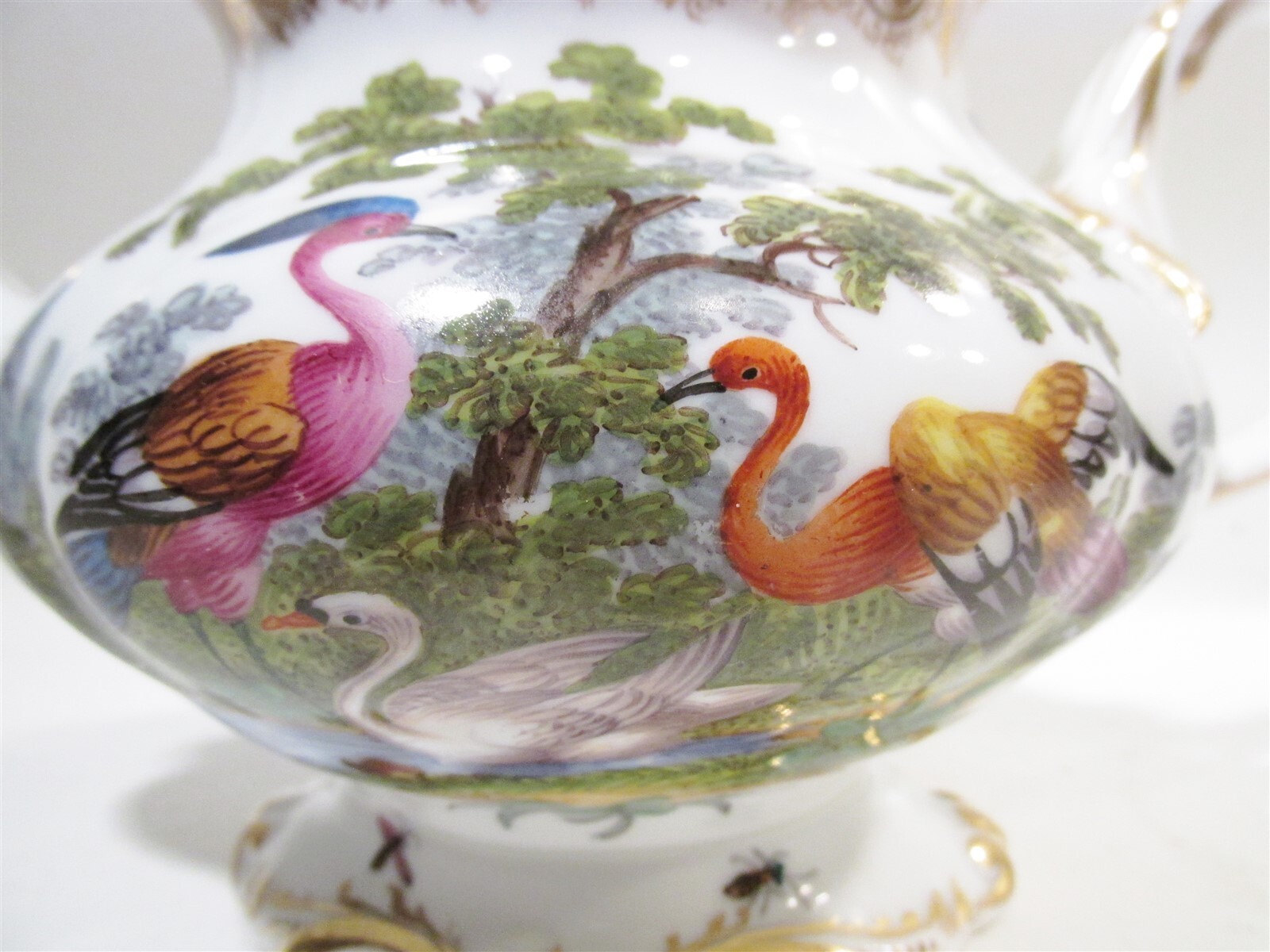 Hand Painted Richard Klemm Dresden Birds of Paradise Teapot Insects ...