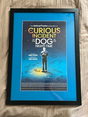 CURIOUS INCIDENT OF THE DOG IN THE NIGHT-TIME Broadway Poster Signed ...