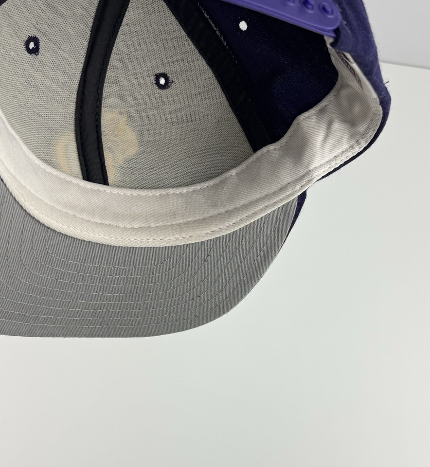 RARE! Vintage 90s Queens Kings MiLB New Era Snapback Hat Cap Purple ...