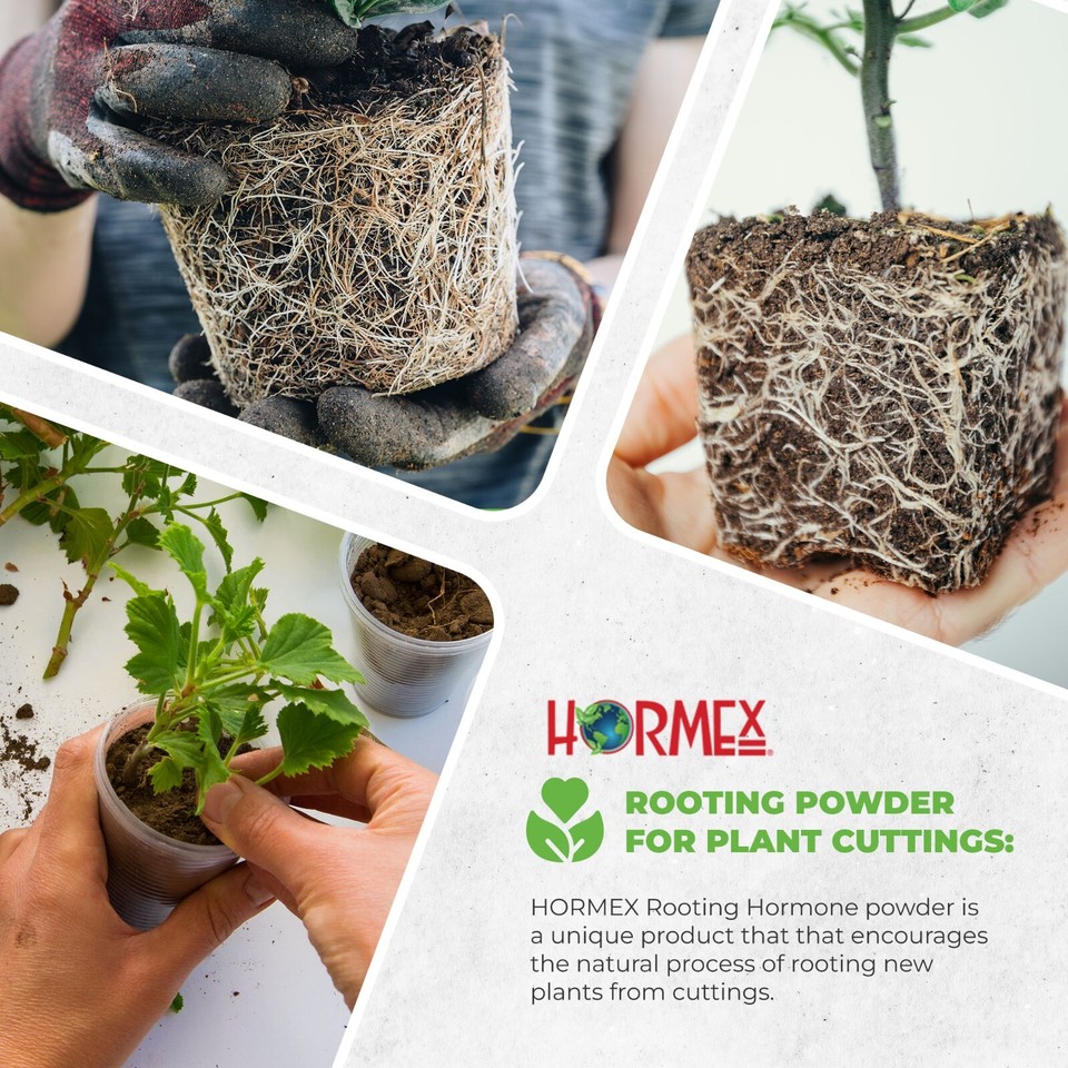 Hormex Rooting Powder #3 - for Moderately Easy to Root Plants - 0.3% ...