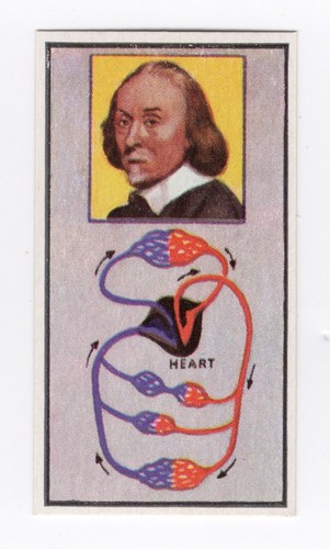 Inventions & Discoveries 1960. #28 Blood Circulation, William Harvey ...