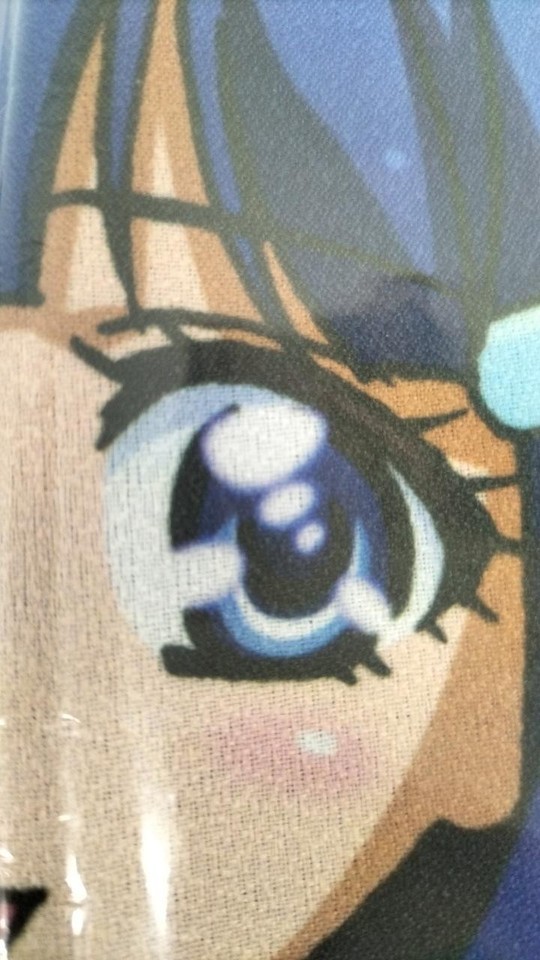 MOVIC Reika Aoki Half Noren Character Goods h85_1110 | eBay