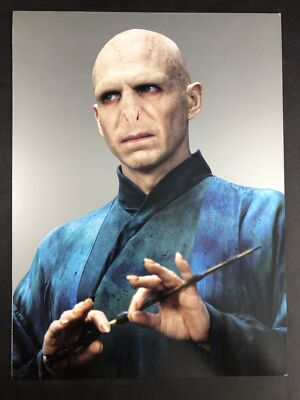 Lord Voldemort - Ralph Fiennes - Harry Potter Movie Poster 11.5x16 | eBay