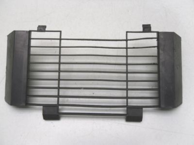#0107 Honda VTR250 VTR 250 Interceptor Radiator Cover / Grill | eBay