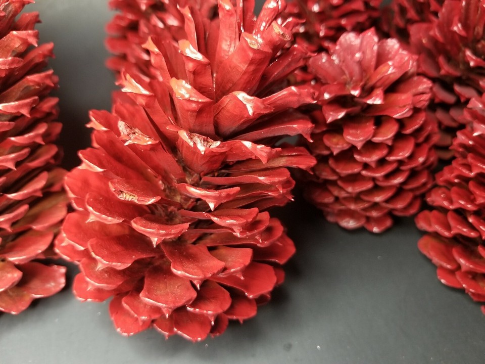 🎅15 Red Pine Cones Hand Painted Natural Premium Ponderosa Cones | eBay