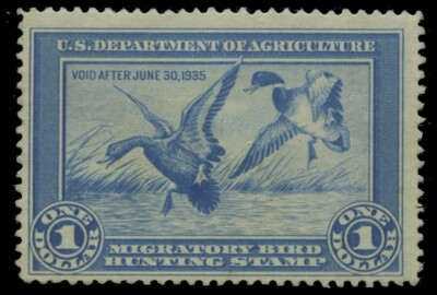 RW1 1934 Federal Duck Stamp Mint Light Hinge Mark. | eBay