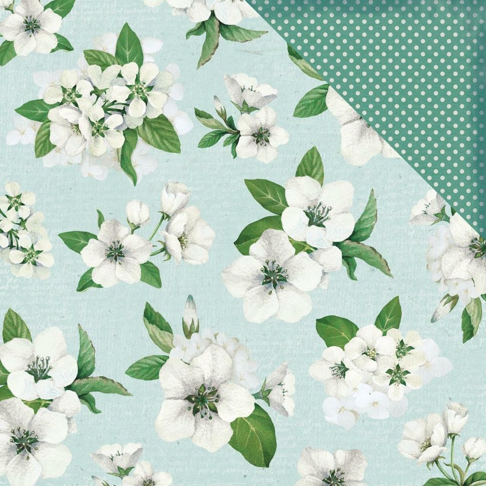 MORNING DEW Collection 12X12 Scrapbooking & Paper Crafting Kaisercraft ...