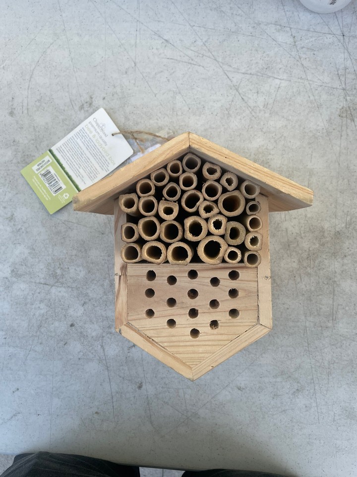 Chapel Wood Premium Quality Bee & Ladybird Cedar Wood Box Insect ...