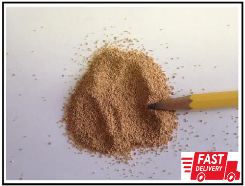 Fine Grit Walnut Shell Sandblasting Media - 10 lb. Box for Effective ...