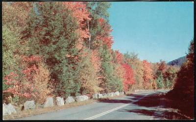 UPPER MONONGAHELA VALLEY WV Route 219 Autumn Postcard | eBay