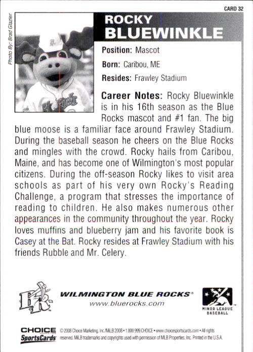 2008 Wilmington Blue Rocks Choice #32 Rocky Bluewinkle MASCOT - NM ...