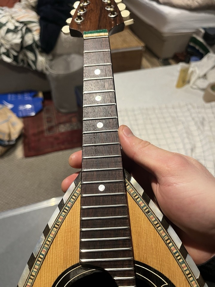 Alfredo Albertini Vintage Mandolin with Case Fully Restored Set Up ...